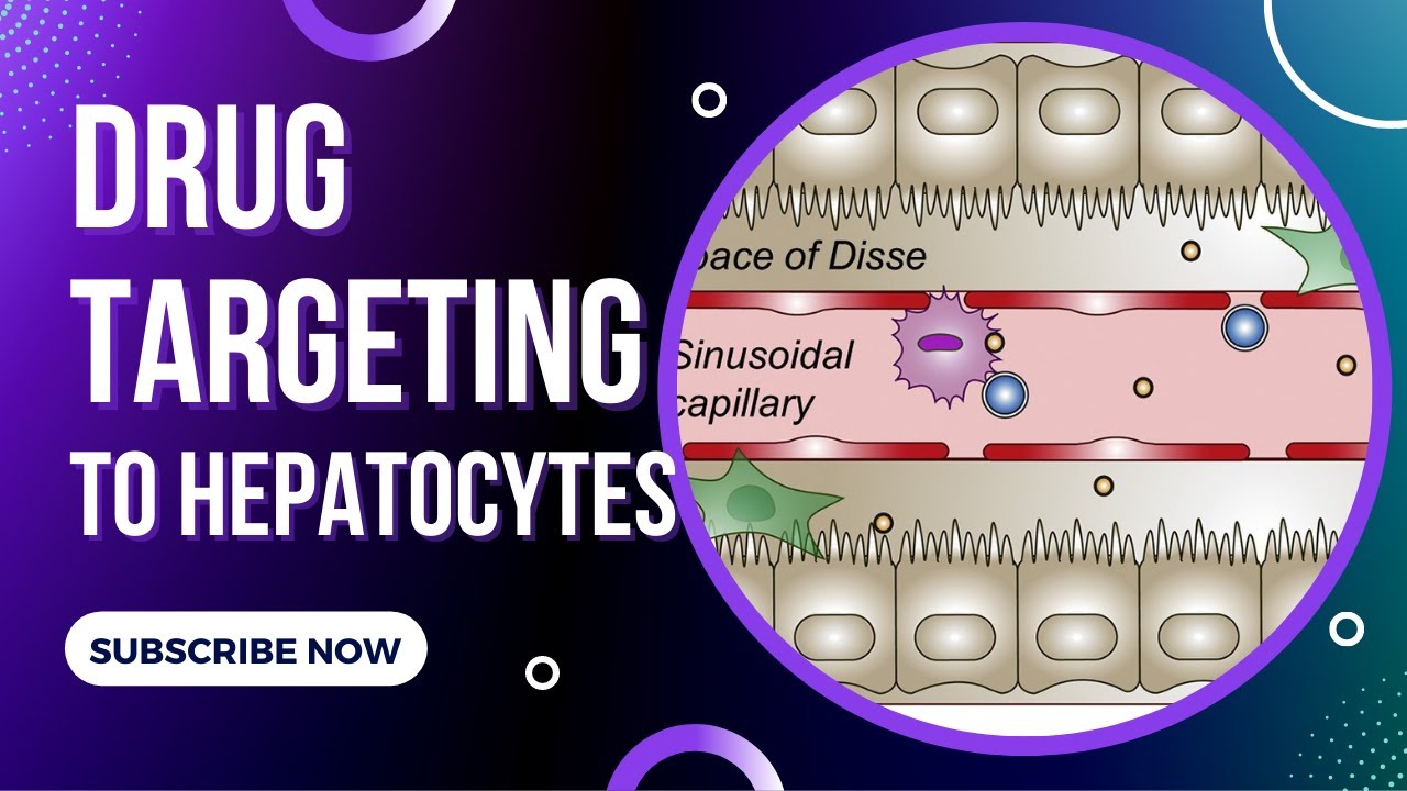 Drug targeting to hepatocytes: pharmaceutical technology research and development - UBC Li Lab