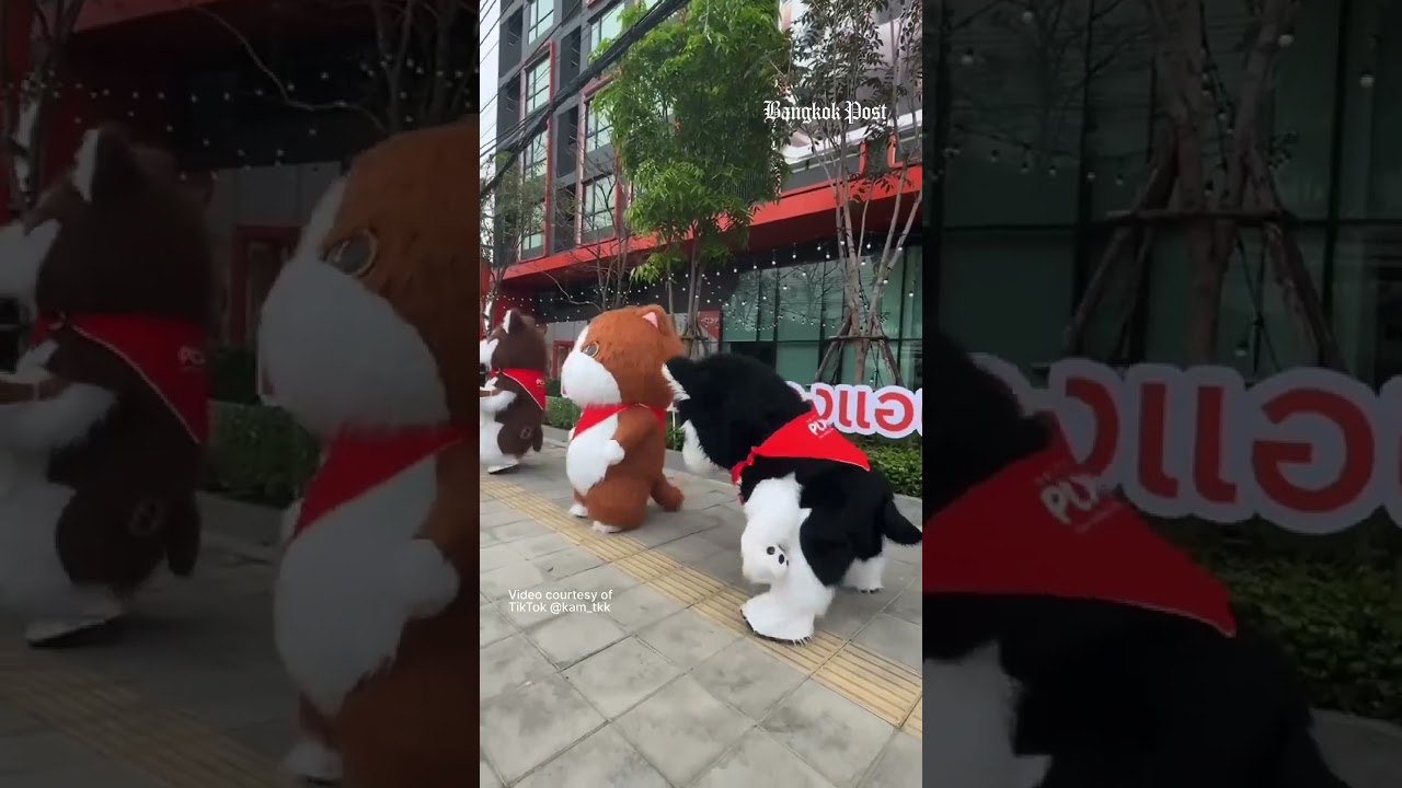 Animal mascots greet the whole town
