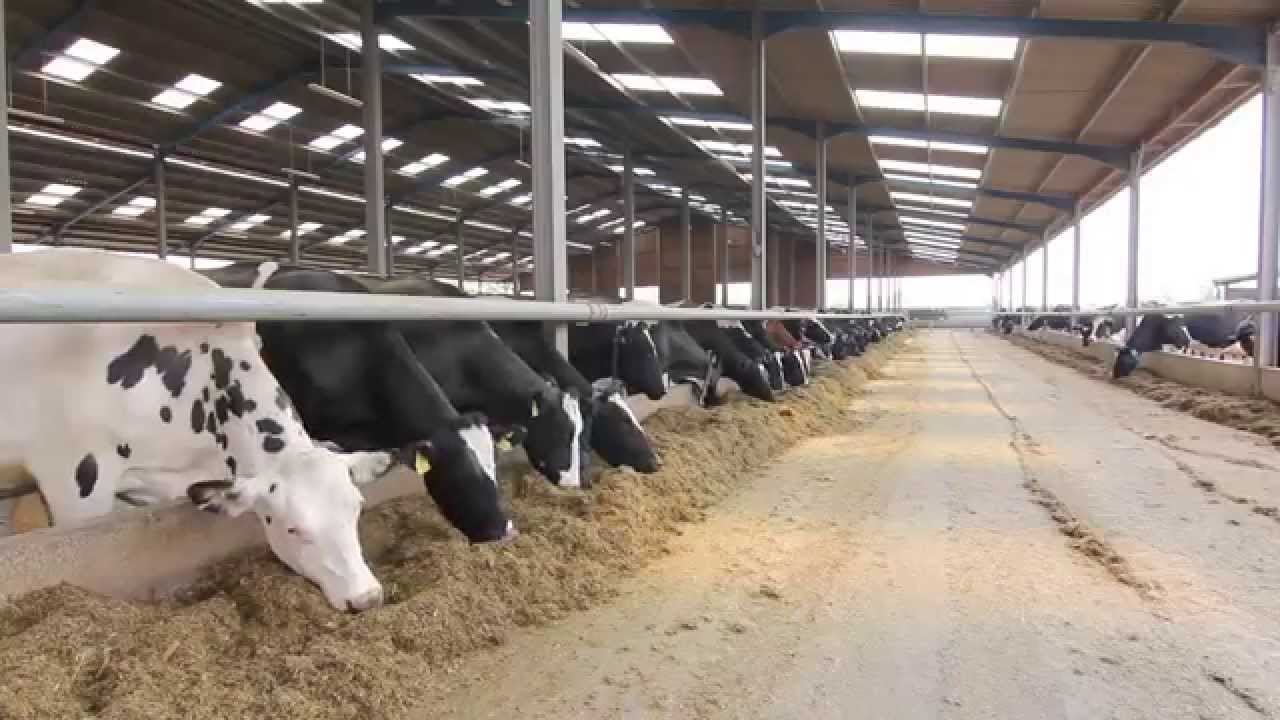 01 Dairymaster Build Better Products
