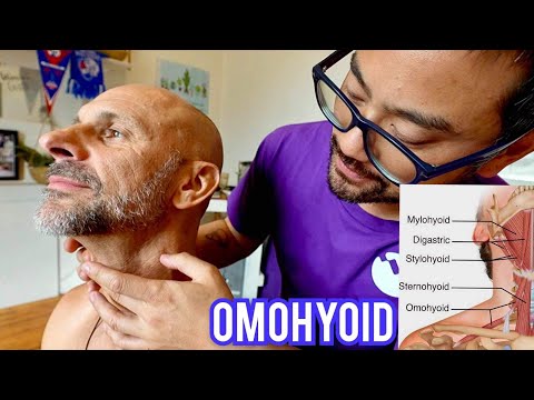 OMOHYOID | Ninja’s Obscure Anatomy Part 8