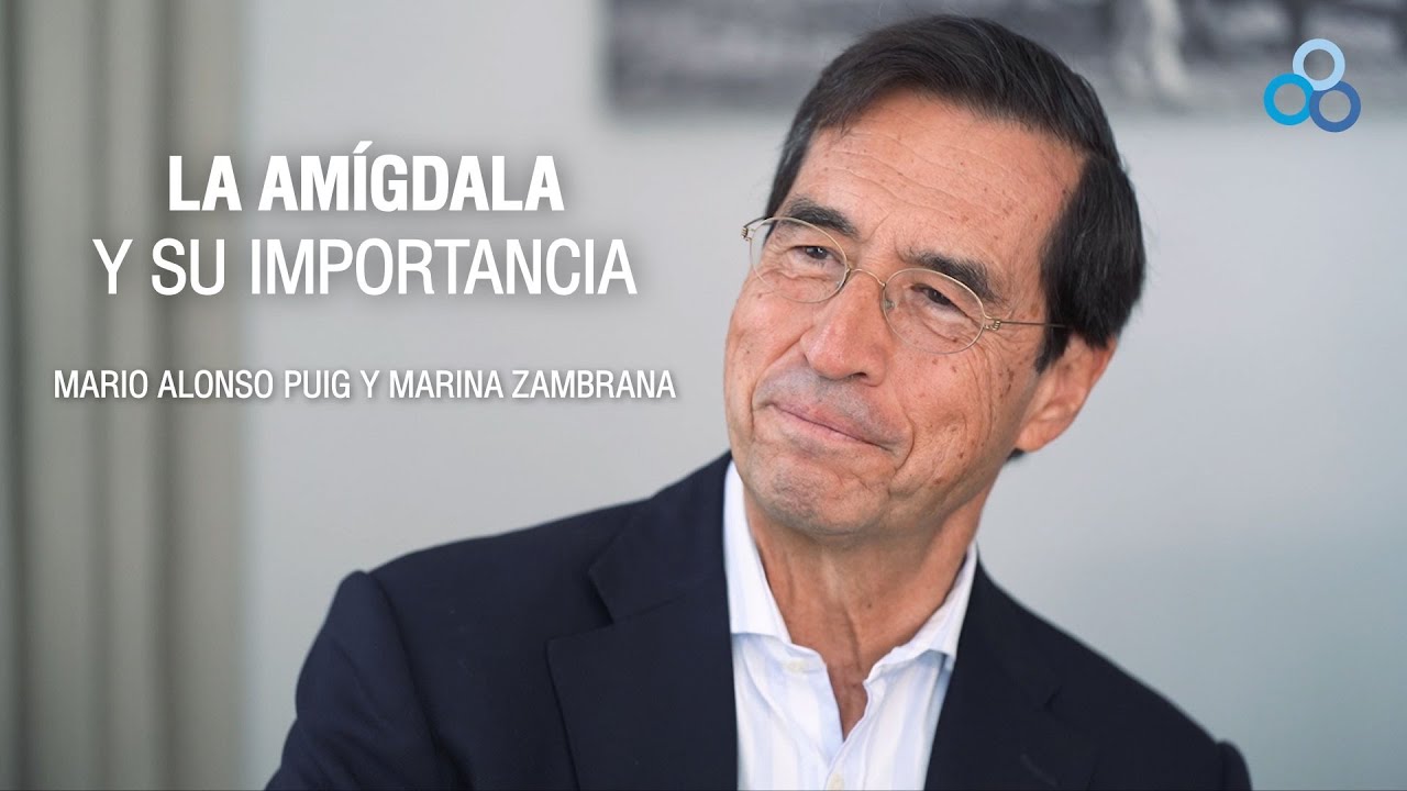 La amígala y su importancia | Mario Alonso Puig