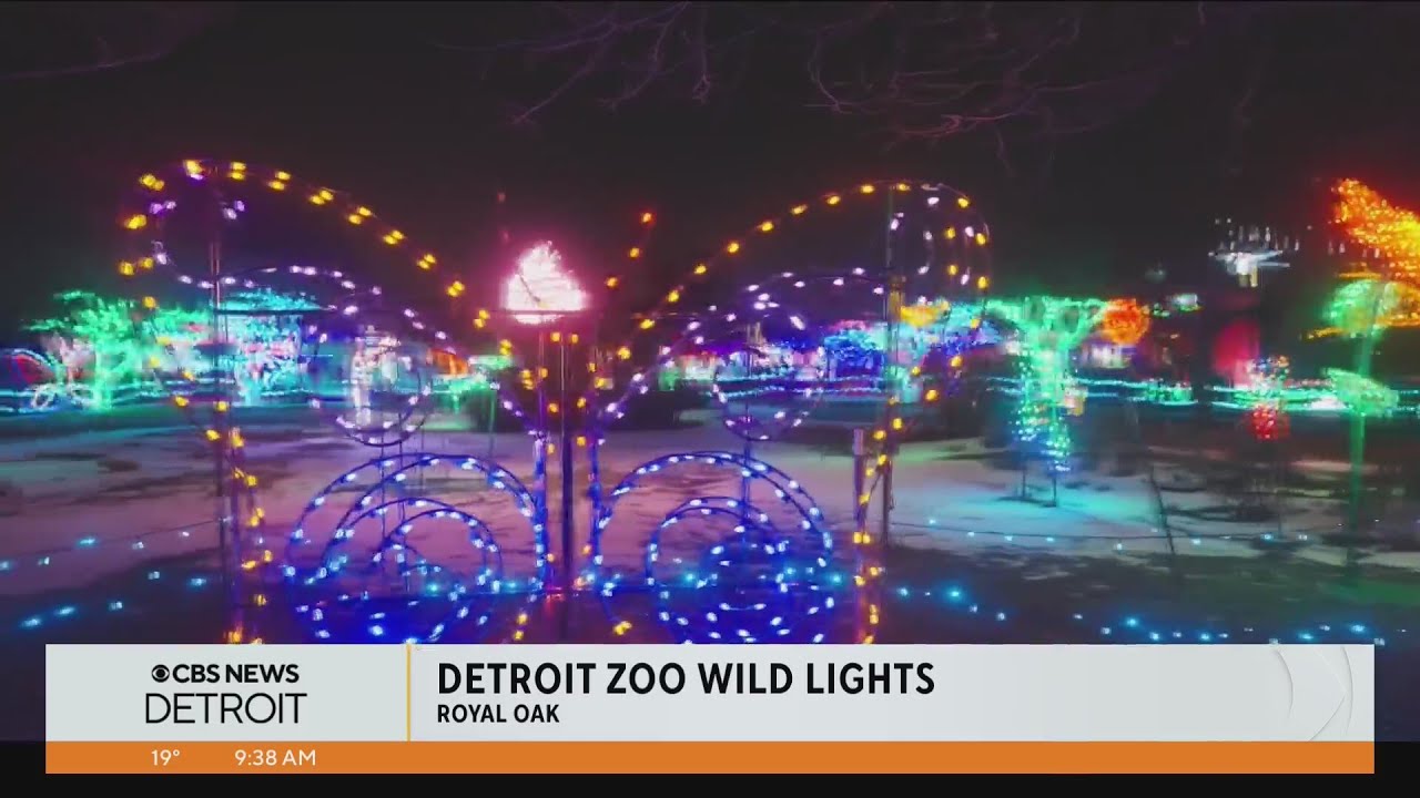 LittleGuide Detroit: Detroit Zoo's Wild Lights