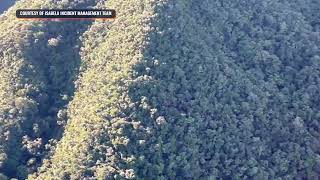 LOOK: Missing light plane in Isabela found