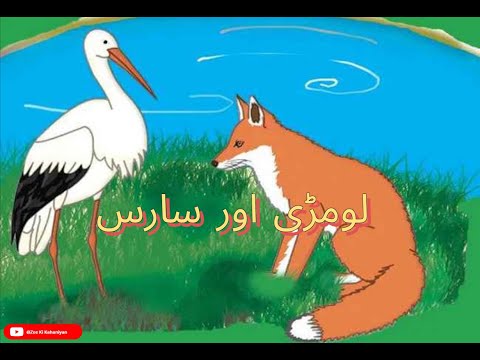 Fox and the crane Urdu Moral stories for kids