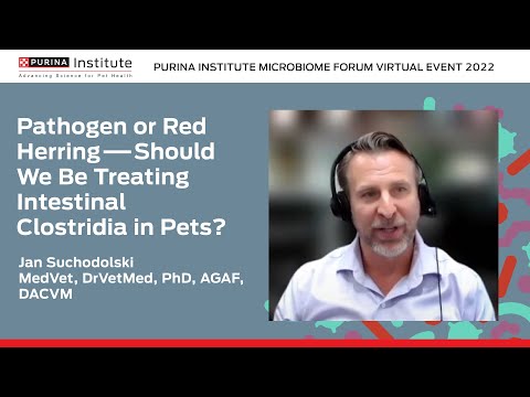 Pathogen or Red Herring—Should We Be Treating Intestinal Clostridia in Pets?