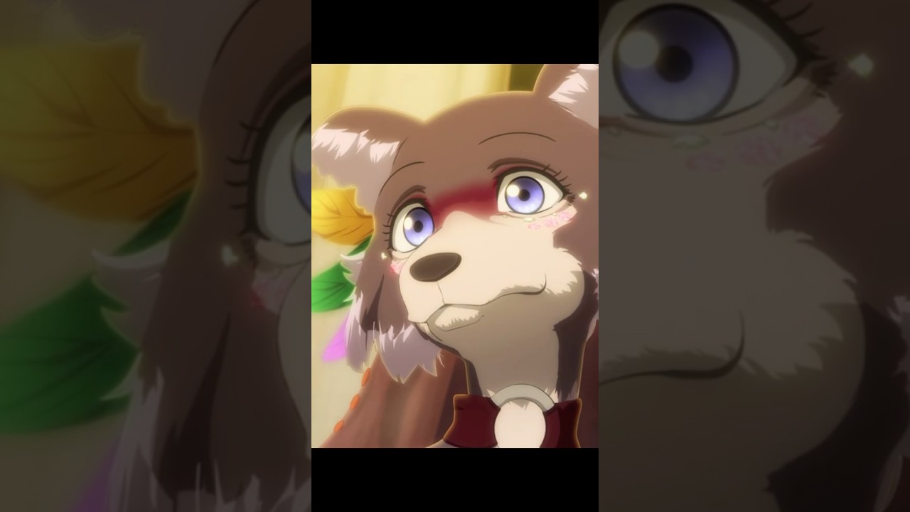 Material Juno #beastars