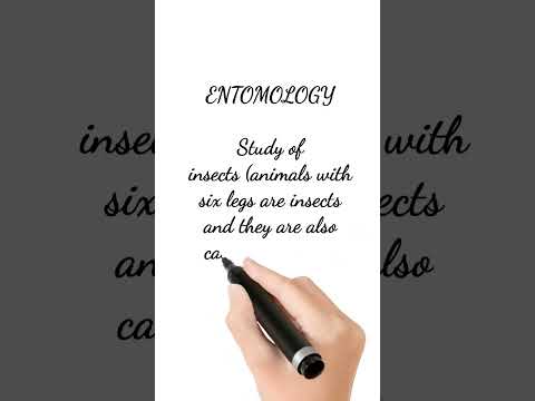 Entomology #short #definition #biology #videos #viral #2023 #viralshort