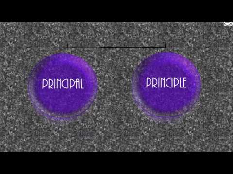Principal and Principle
