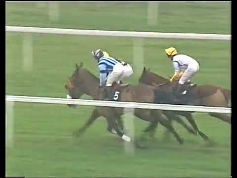 Peter Marsh Chase Day 2025 (Haydock) | Mull It Over