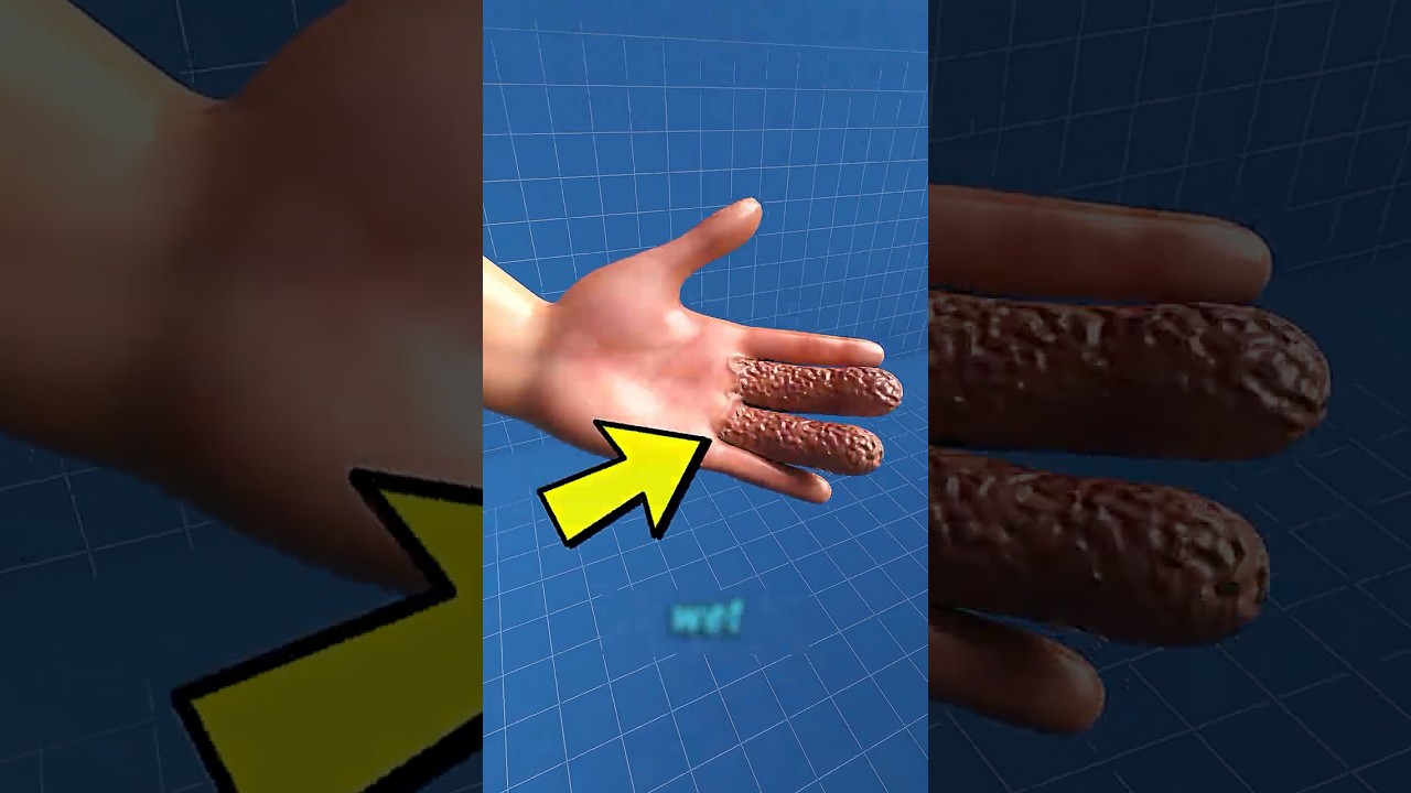 Why Your Fingers Get Wrinkly in Water (Explained Simply)!? 😁