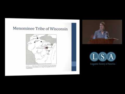 What is Linguistics and What Can it do for Us