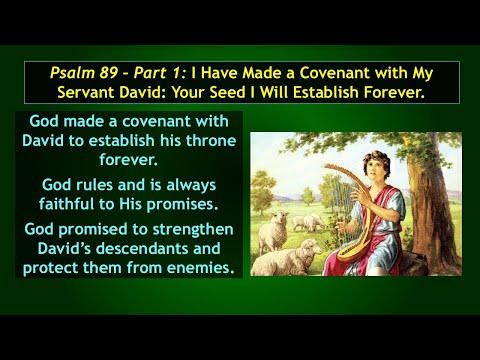 Video Bible Study: The Book of Psalms - #051