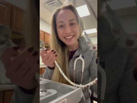 Real Customer Unboxing + Reviewing an MDF Instruments ProCardial Titanium Stethoscope!