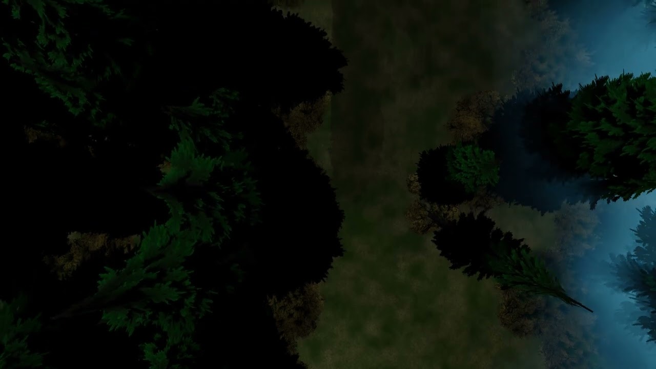 (Top Down) Dark Forest road D&D animated map