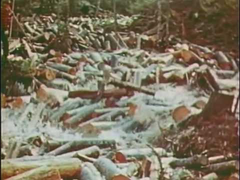 The Lost Art of Floating Logs Down the River