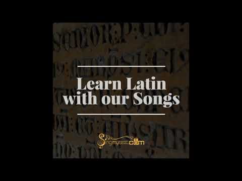 Latin Sayings and their meaning
