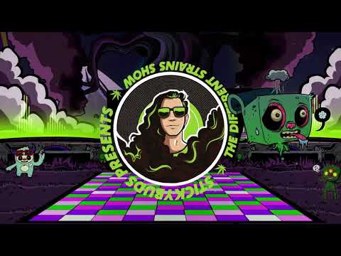 House, Funk, DNB DJ Mix - Different Strains Episode 34 - Westwood Radio Mix.
