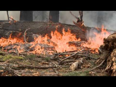 Introduction to Combustion – 1