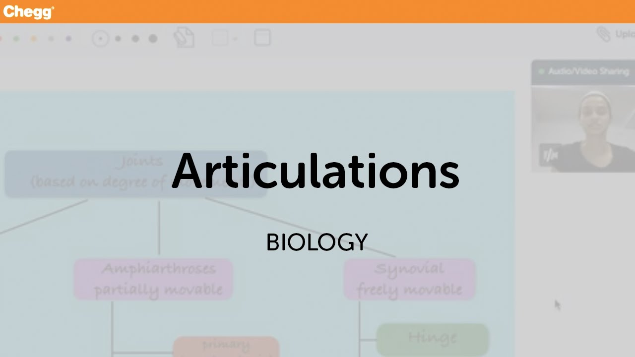 Articulations | Biology | Chegg Tutors
