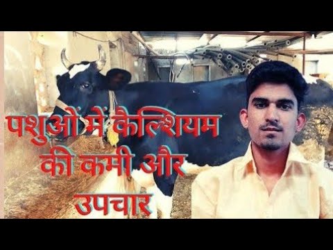 Symptoms of calcium deficiency in animals