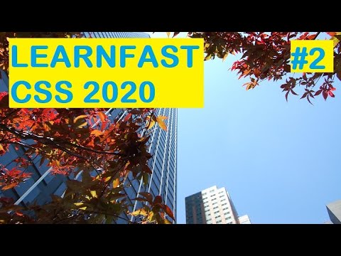 LEARNFAST CSS 2020 COURSE (#2) MODELS AND PROPERTIES
