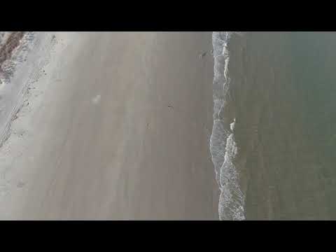 03/31/2021 #3 Folly Field Beach-Hilton Head Island (Triplet Videography & Photography) 6K #HHI