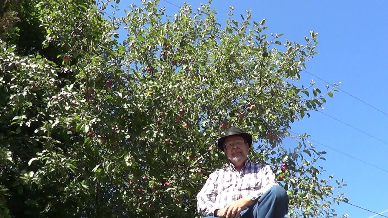 Johnny Appleseed - REAL USA Ep. 64