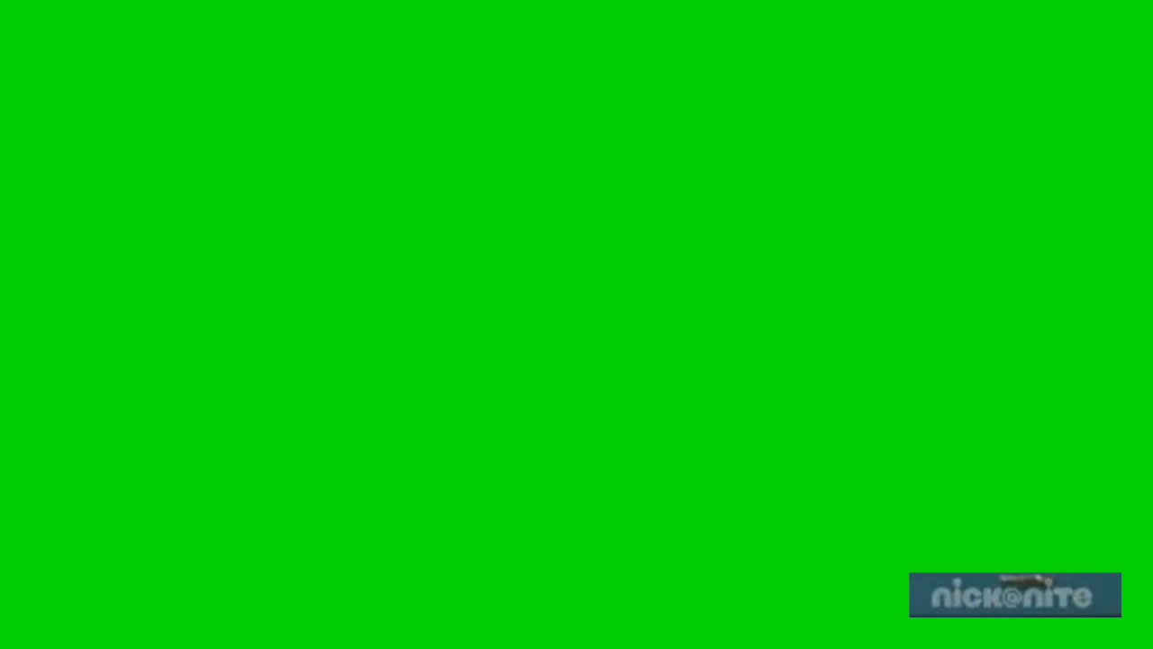 Nick at Nite Screen bug 2016-present(2)