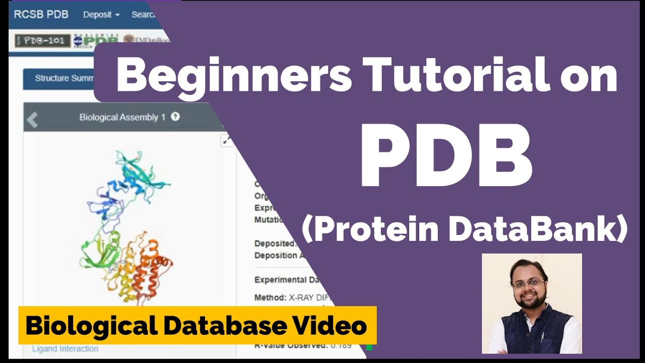 PDB Database Tutorial- A Beginners Guide