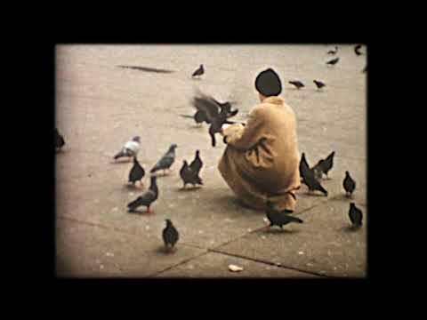 Great Britain 1955 archive footage