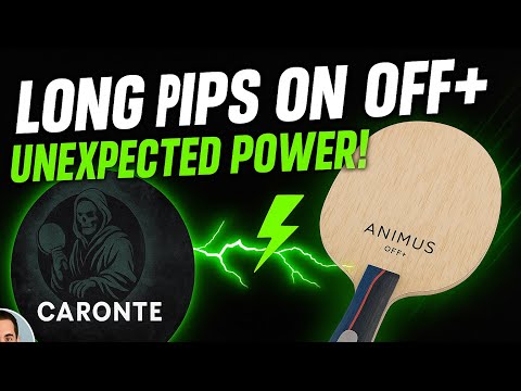 Spinlab Caronte after some months: Slow Pips+Fast blade