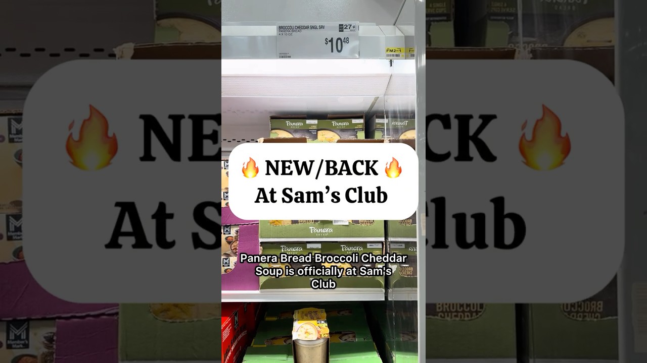 NEW Panera Broccoli Cheddar Soup