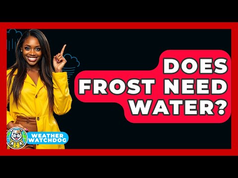 Does Frost Need Water? - Weather Watchdog