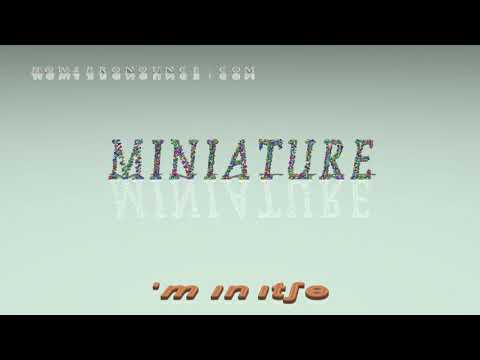miniature - pronunciation + Examples in sentences and phrases