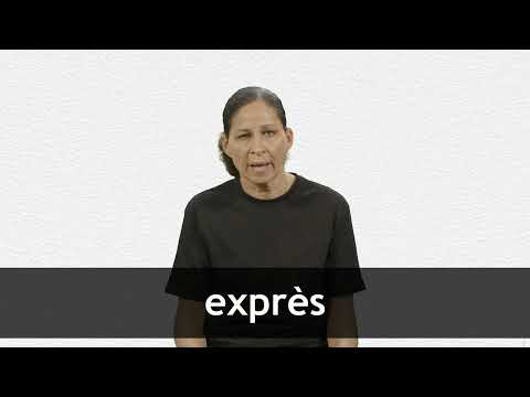 English Translation of “EXPRÈS” | Collins French-English Dictionary