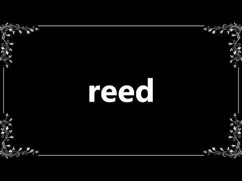 Reed - Definition and How To Pronounce