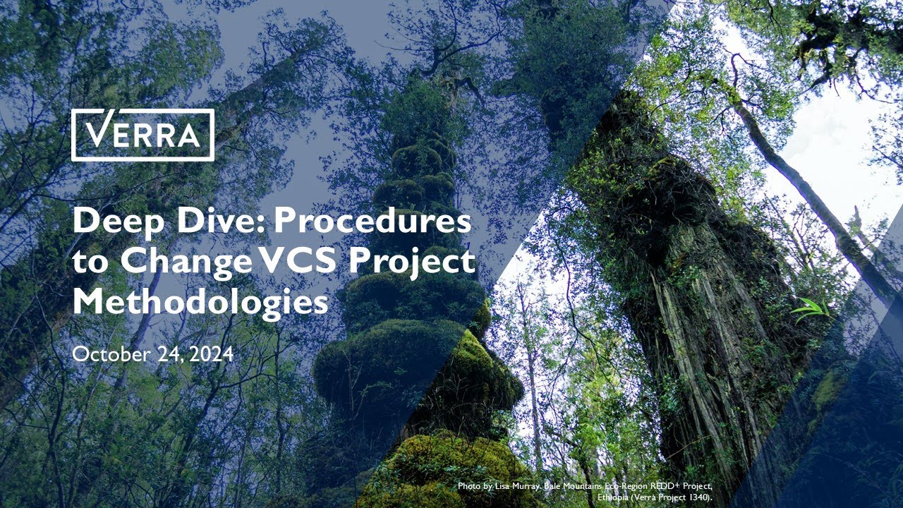 Understanding the New Procedures for Changing VCS Project Methodologies ...