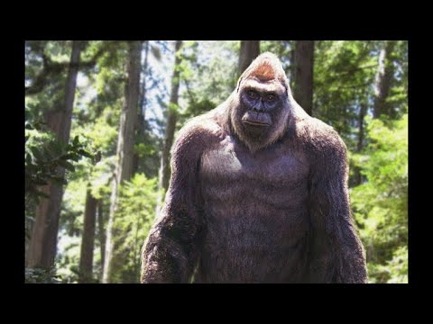 5 Dangerous Cryptids In North America | Cryptozoology Group Amino