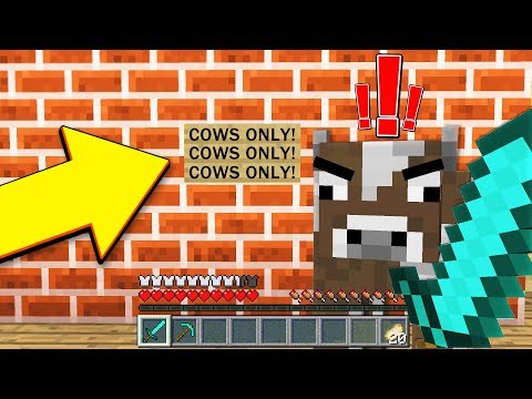 I Joined a *COW ONLY* Minecraft Server! - Minecraft Skyblock
