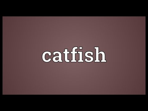 Catfish Meaning