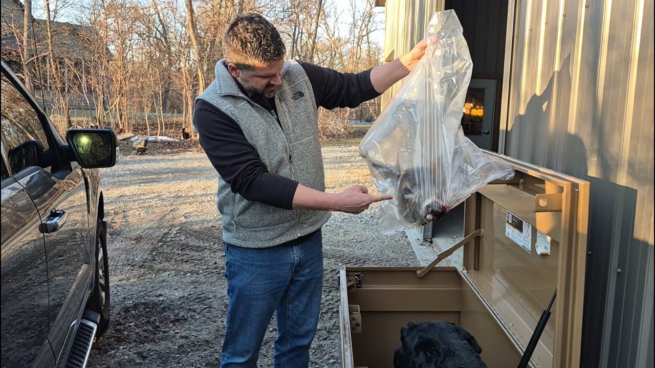 Graphic Content ⚠️ Burying Our Own Deer Head for a Euro Mount!