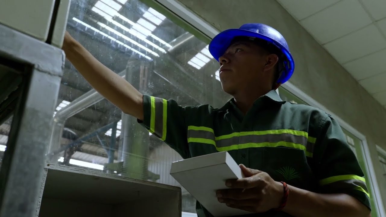 PALMAS DE MACHAQUILA I ChapinFilms