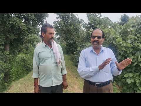 Percolation tank ne kiya kamal-Gadha Wasi Huye Khush Hal, Bijawar,Chhatarpur, MP,drbps,04/10/2022