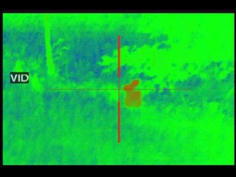 thermal rifle scope reviews: ultimate hog hunting rifle setup