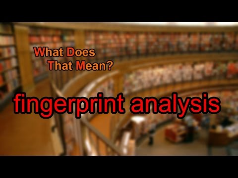 What does fingerprint analysis mean?
