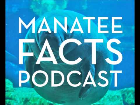 Manatee Facts Podcast: Episode 1