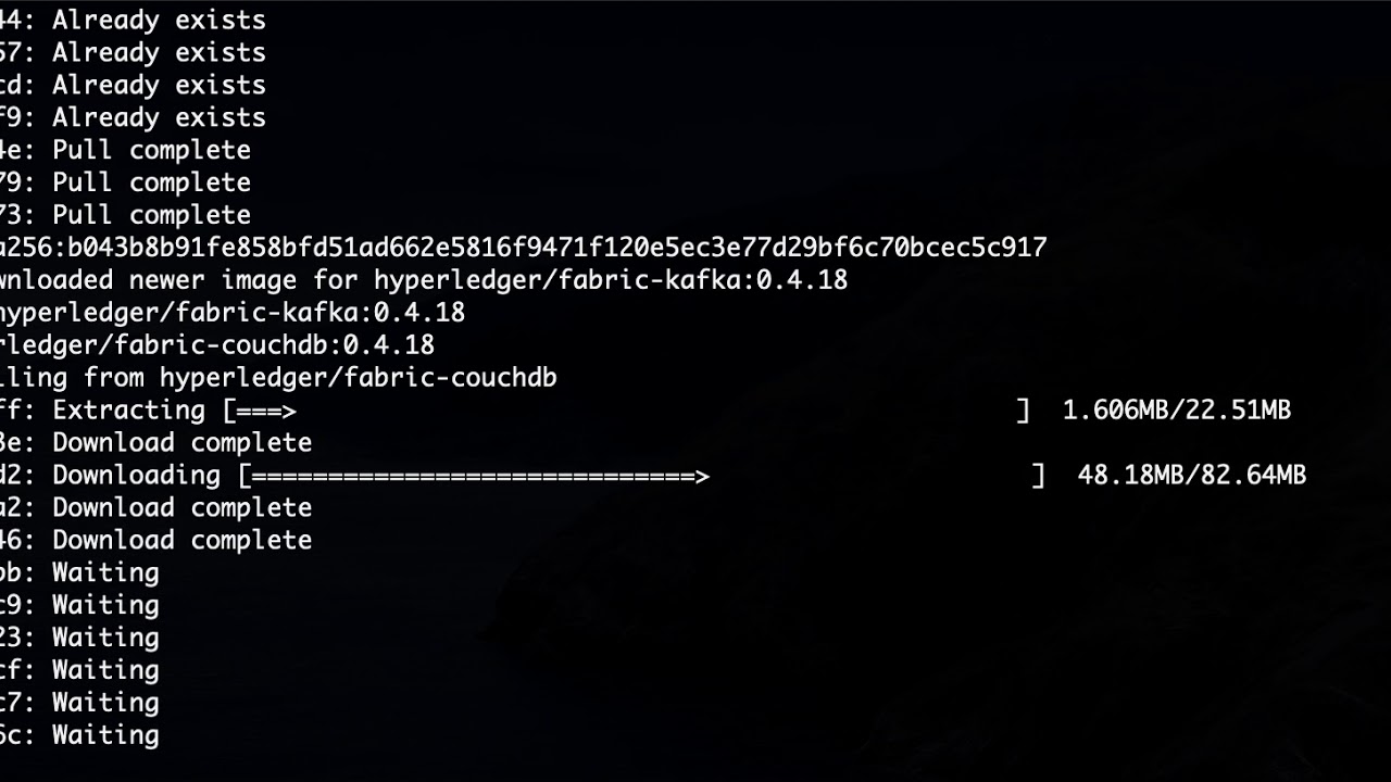 Step by step guide to setup Hyperledger v2.1 Fabcar sample on Ubuntu 18.04 with monitoring enabled