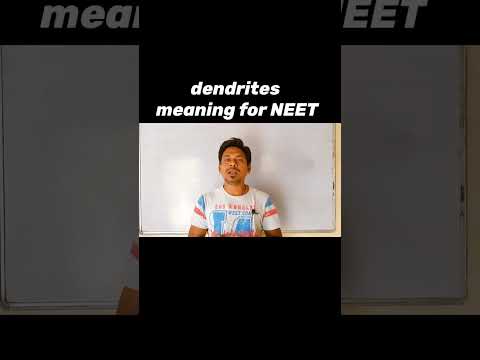 dendrites meaning for neet #science #biology #neet