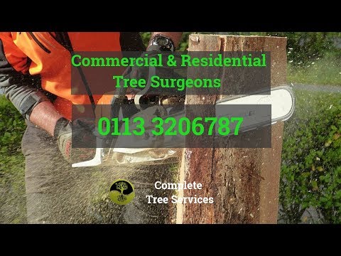 Tree Services Leeds - 0113 320 6787