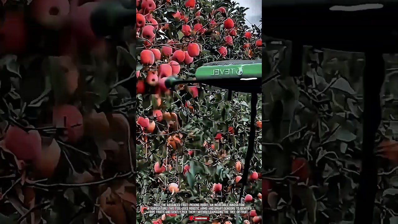 Automatic Fruit Picker Tool: Smart Robot Harvests with Precision!
